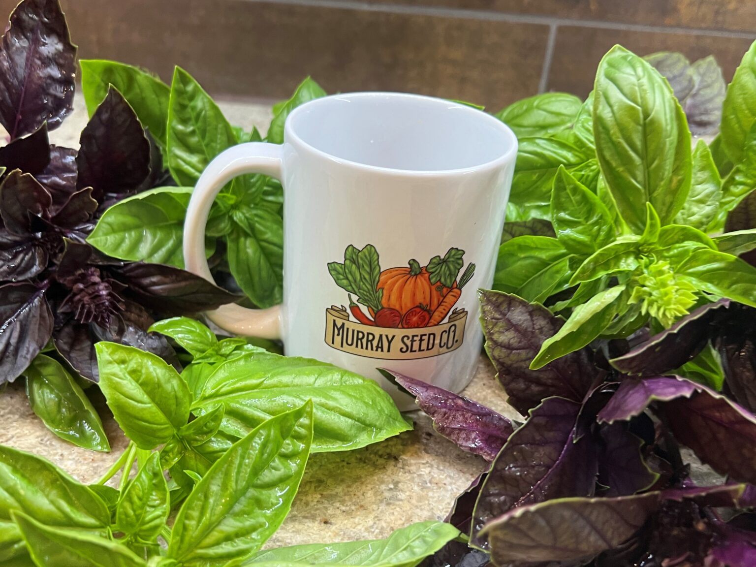 Murray Seed Co