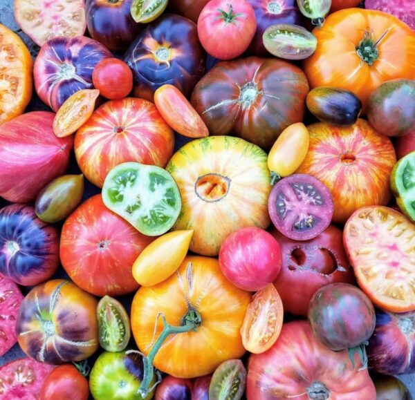 Shop – Murray Seed Co